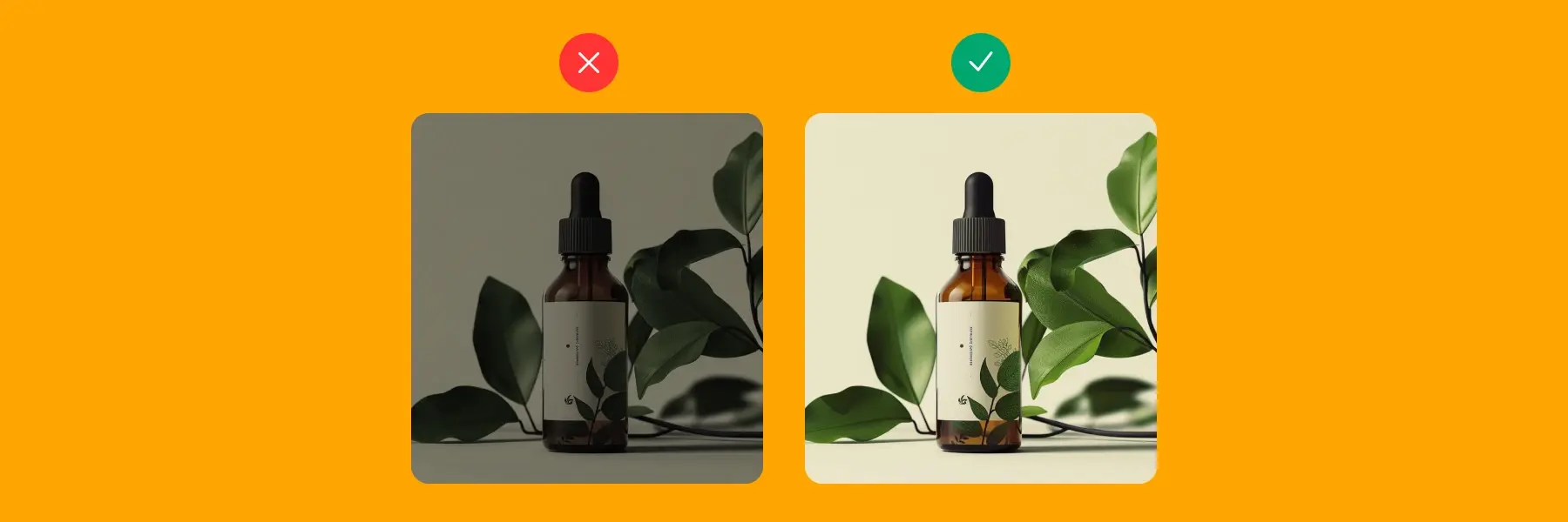 6 effective ways to enhance a photo | Photoroom