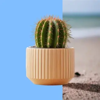 Change your photo background to light blue for free | Photoroom