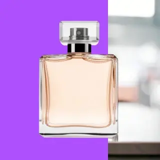 Background Color Changer Tool | Photoroom